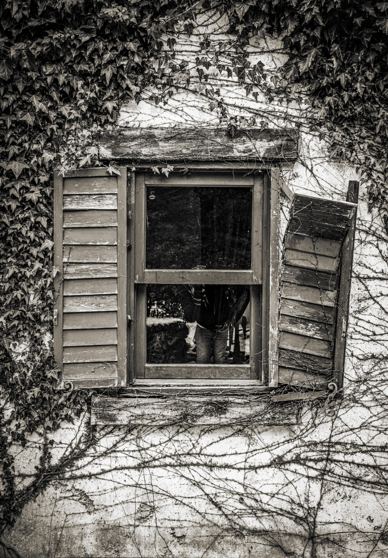 Window Sill - Jonathan Mitchell Visual Arts